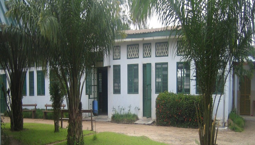 HOINFI | Actualités